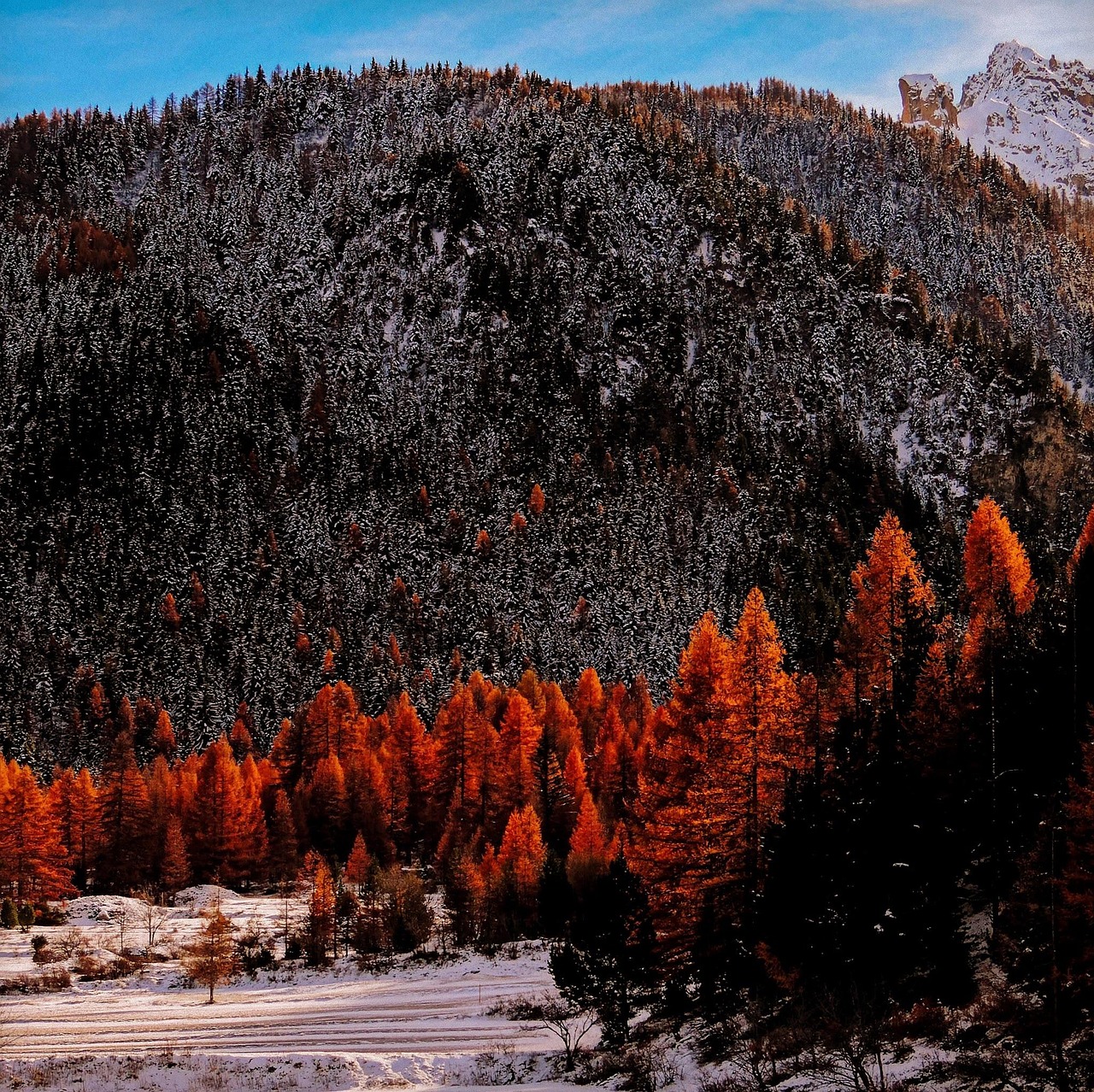 40+ Free Narrow Valley & Alps Images - Pixabay