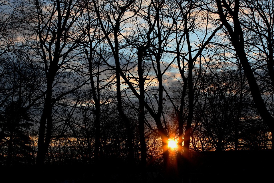 Sunset Fall Nature - Free photo on Pixabay