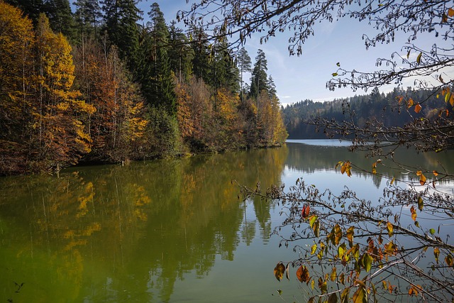 Adelberg Mr Bacher Reservoir Lake - Free photo on Pixabay