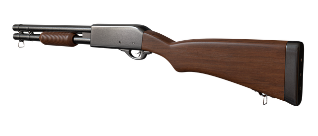 90+ Free Shotgun & Gun Images - Pixabay