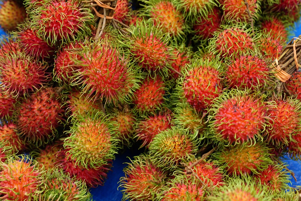 Rambutans Hairy Fruits Fresh - Free photo on Pixabay