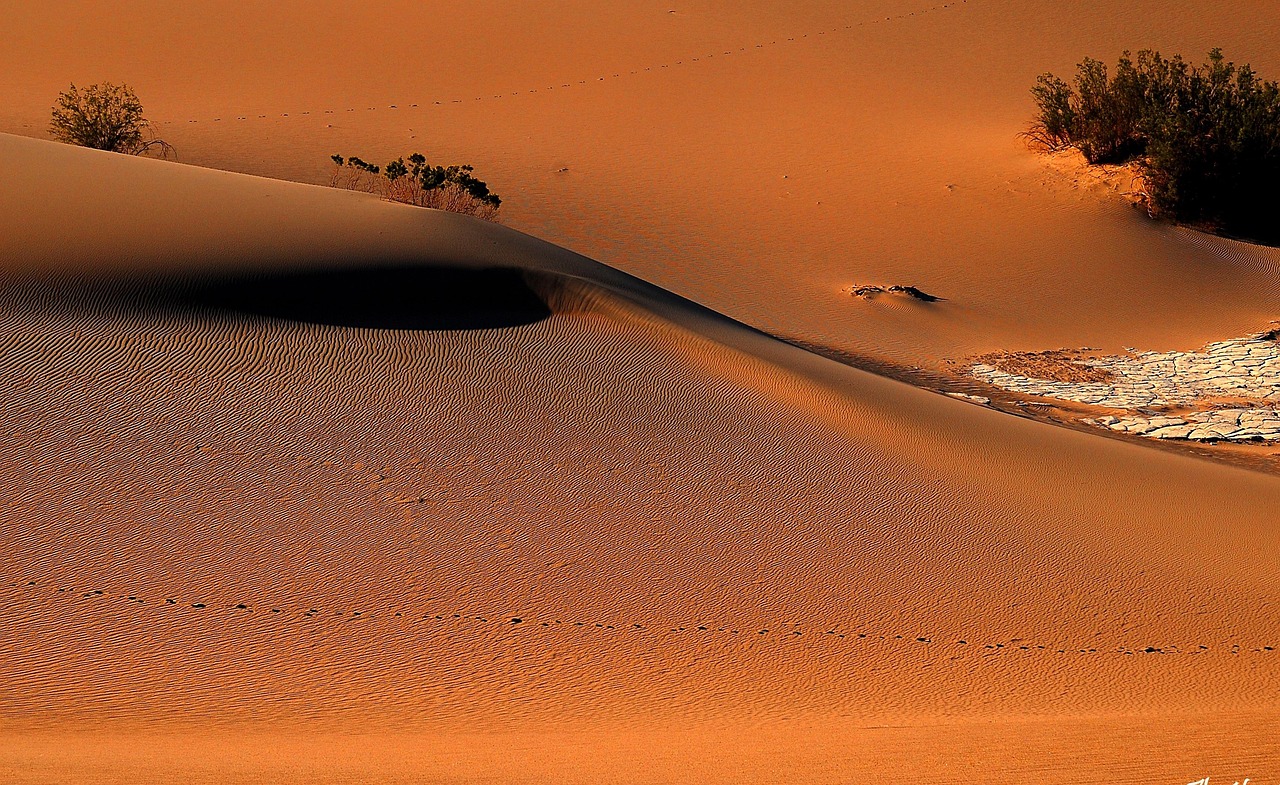 300+ Free Death Valley & Desert Images - Pixabay