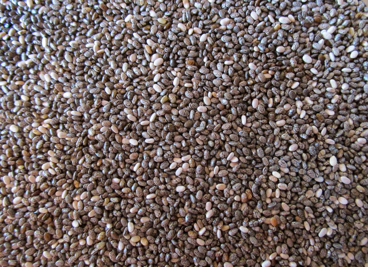 10,000+ Free Chia Seed & Chia Images - Pixabay