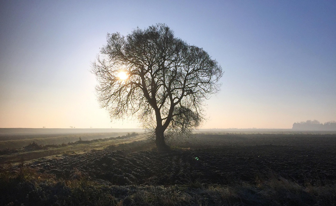 Farm Landscape Morning - Free photo on Pixabay
