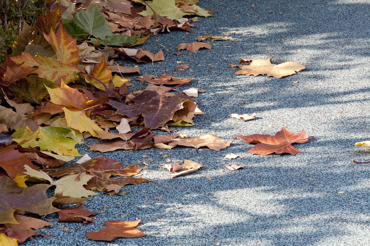 Autumn Landscape Leaf - Free photo on Pixabay - Pixabay