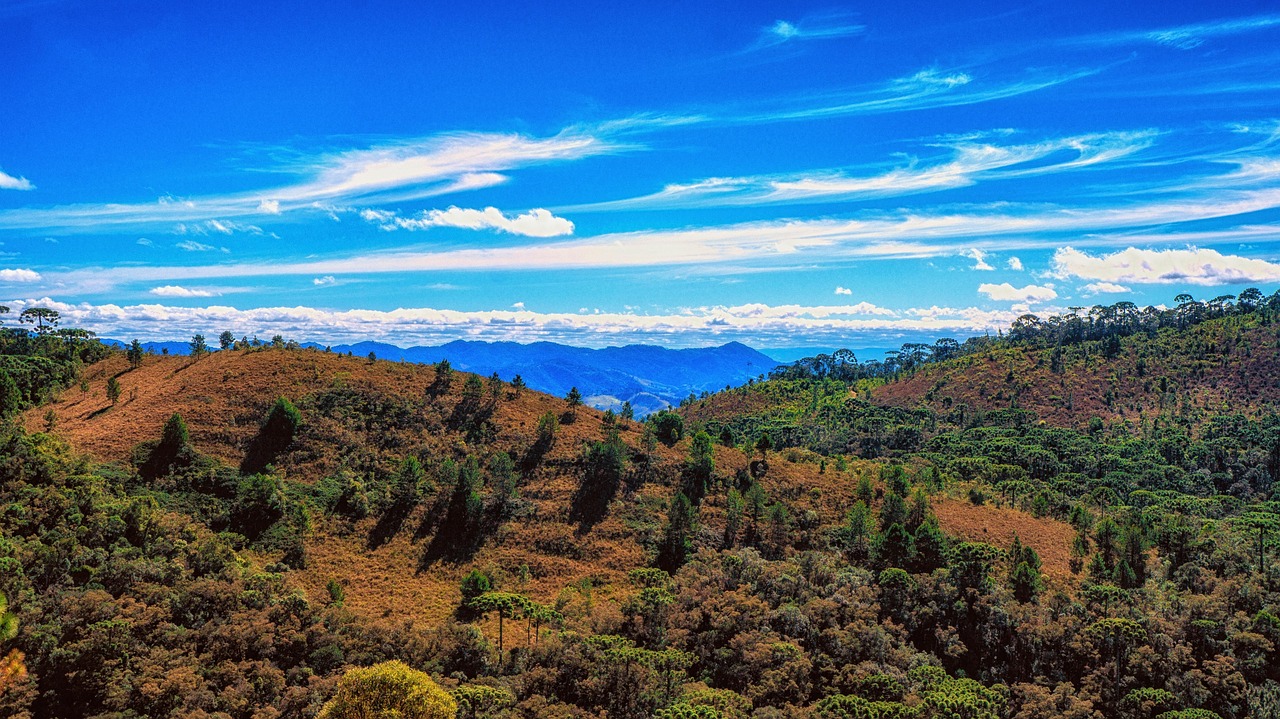 Plus de 10 images de Campos De Restolho et de Brésil - Pixabay