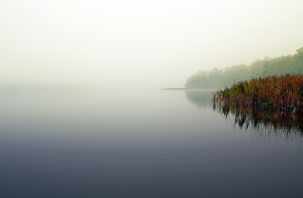 Lake Fog Water Surface - Free photo on Pixabay