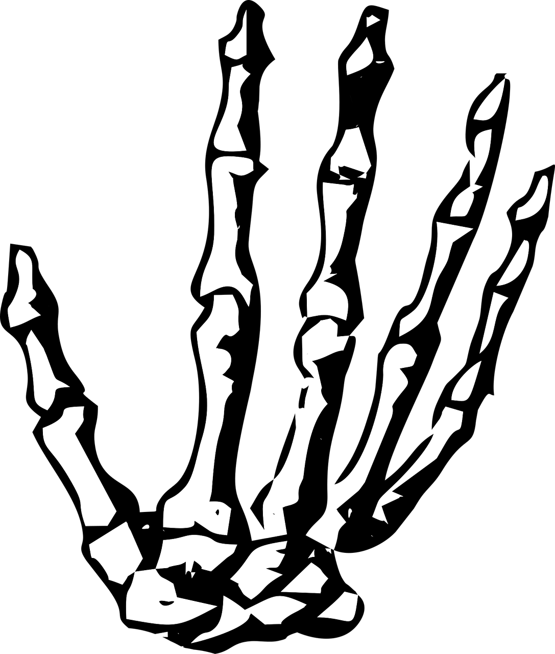 4 000 Free Skeletons Skull Images Pixabay 4 000 Free Skeletons Skull Images Pixabay