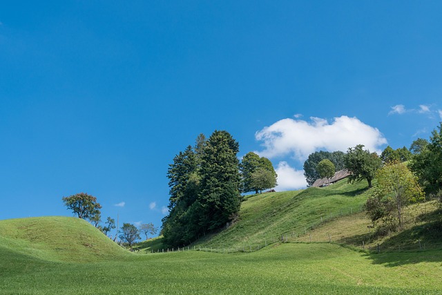 Paysage Vert Nature · Photo gratuite sur Pixabay