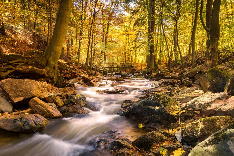 Autumn Leaves Ilse Long Exposure - Free photo on Pixabay