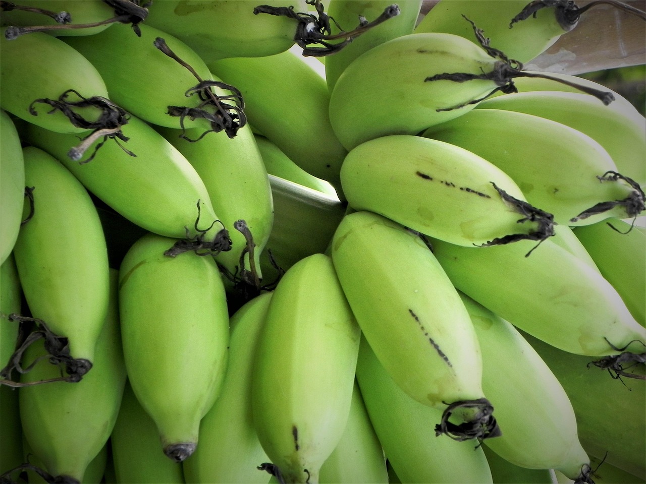 Plátano Fruta Nuevo - Foto gratis en Pixabay - Pixabay