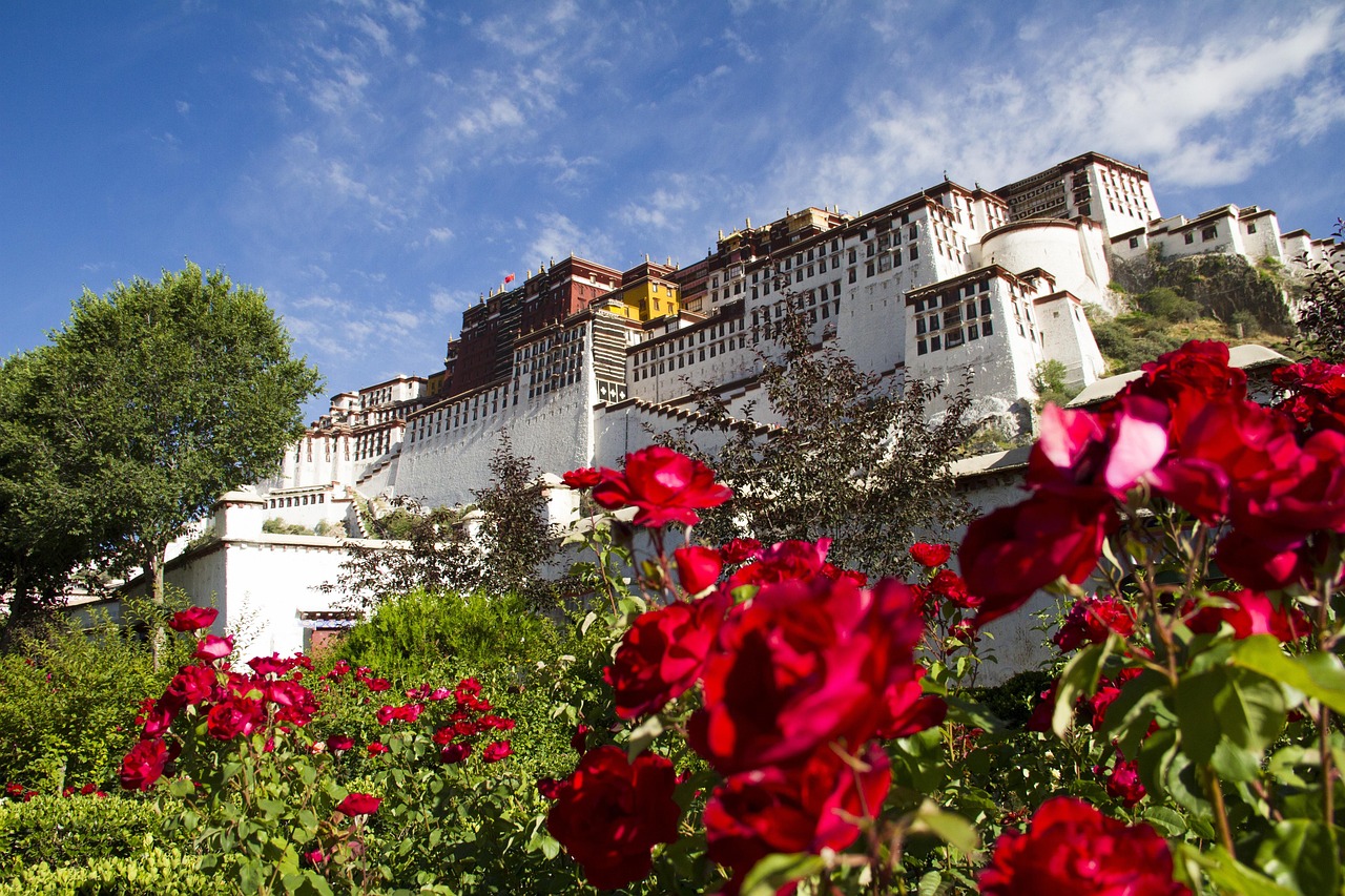 800+ Free Tibet & Lhasa Images - Pixabay