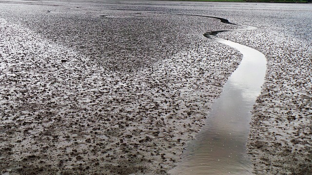 Plenty Of Water Foreshore - Free photo on Pixabay
