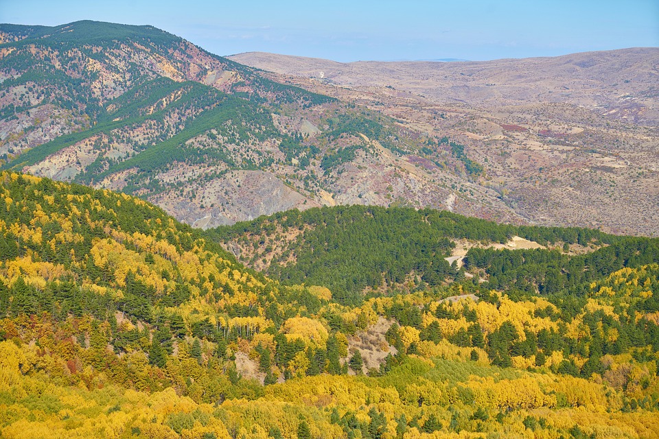 Autumn Season View - Free photo on Pixabay