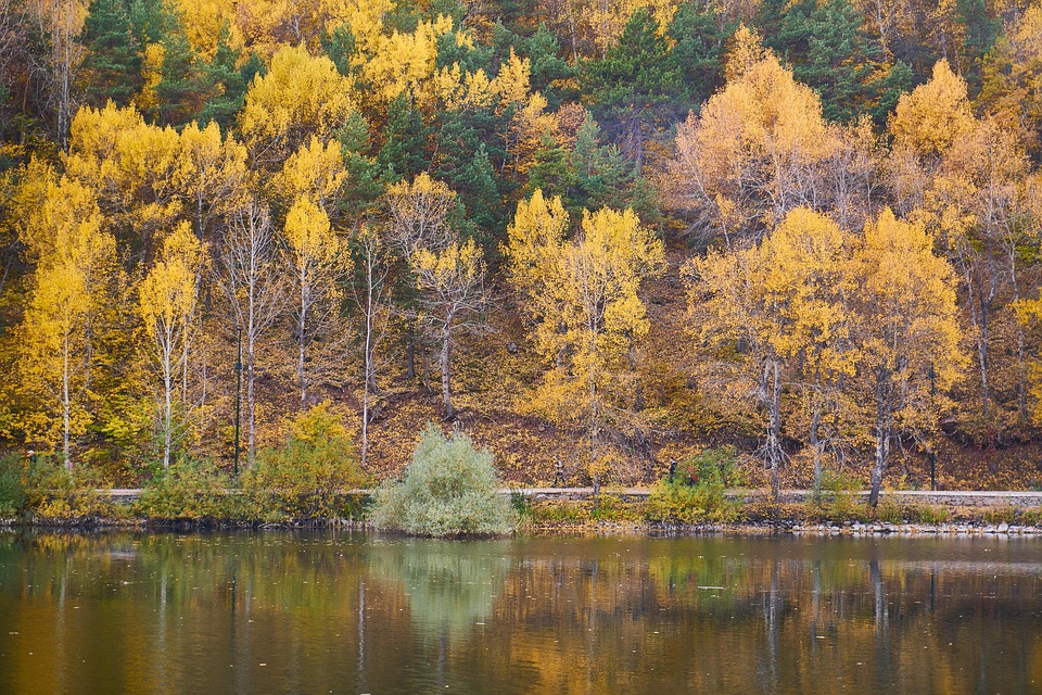 Autumn Season View - Free photo on Pixabay - Pixabay