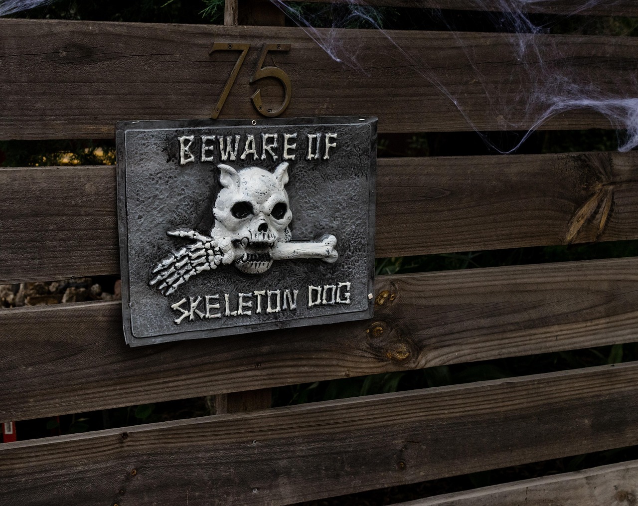 Halloween Skull Bones - Free photo on Pixabay