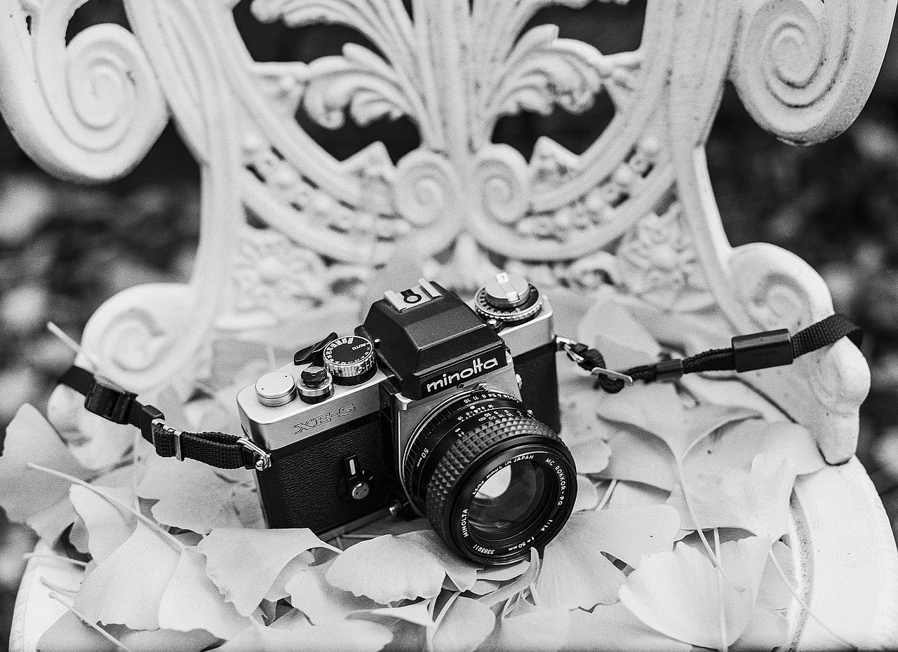 100+ Free 35Mm Film & Film Images - Pixabay