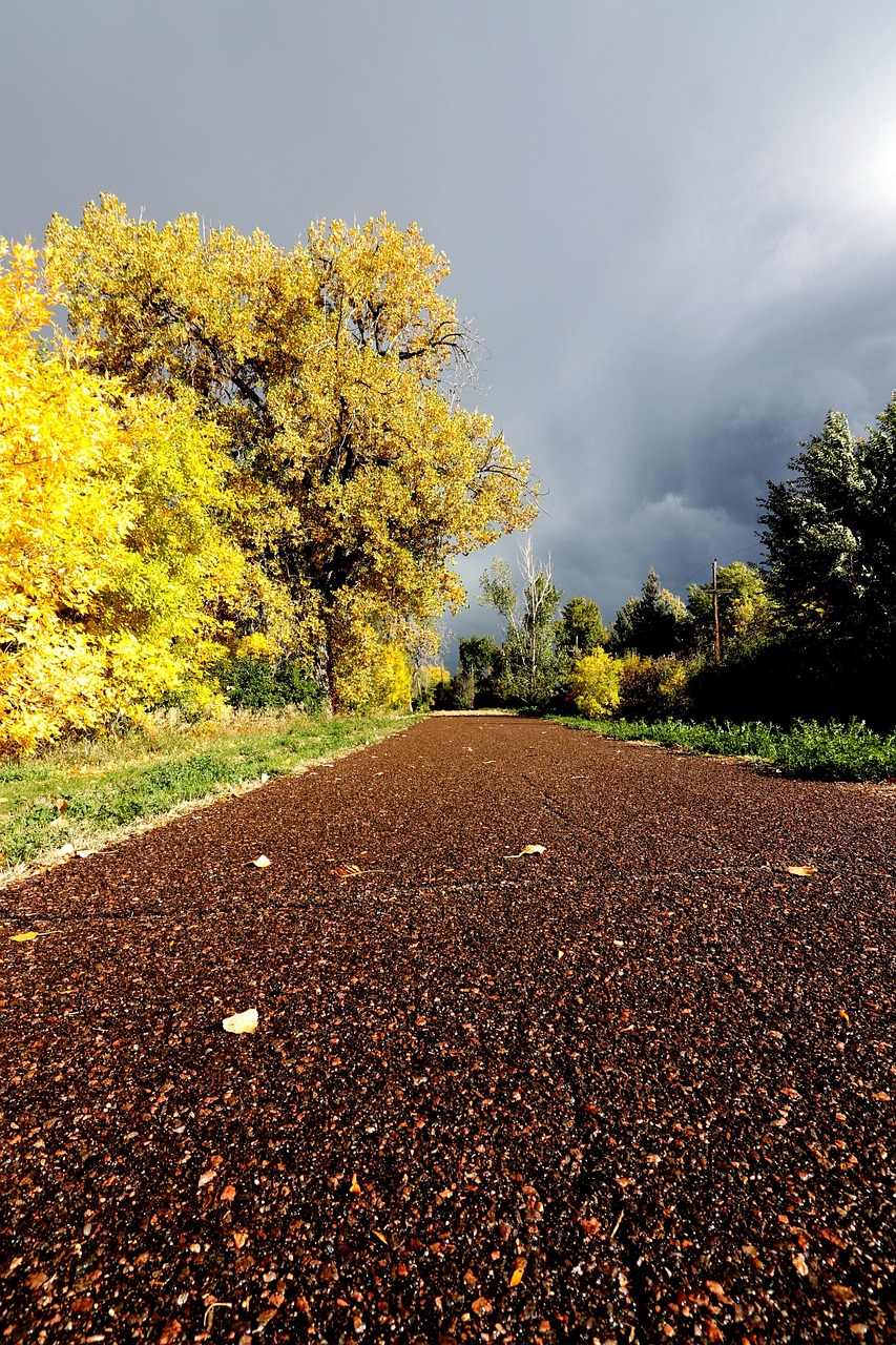 Weg Pfad Gehen - Kostenloses Foto auf Pixabay