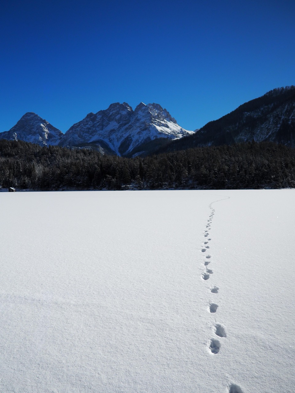 Tyrol Winter Sports - Free photo on Pixabay - Pixabay