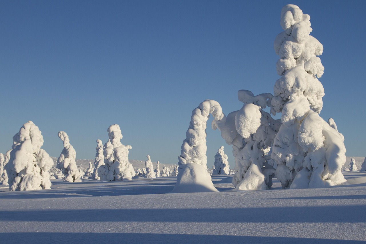 500+ Free Lapland & Finland Images - Pixabay