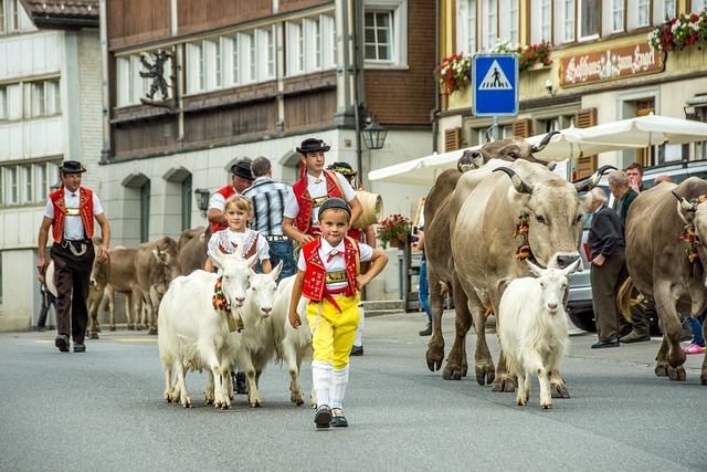 300+ Free Appenzell & Switzerland Images - Pixabay