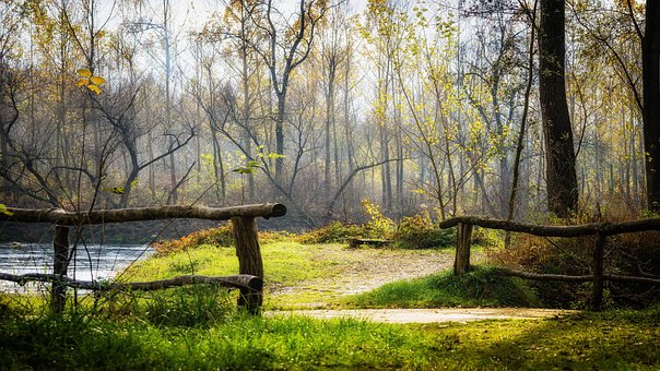 300+ Free Country Bridge & Bridge Images