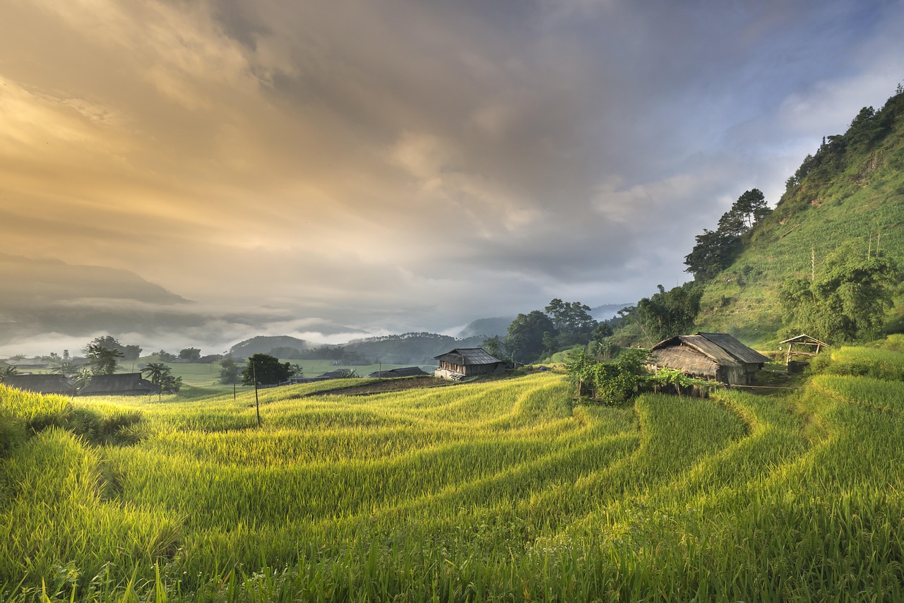 Vietnam Terraces Rice - Free photo on Pixabay - Pixabay