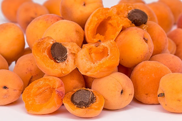 Plus de 1 000 images de Abricots et de Abricotier - Pixabay