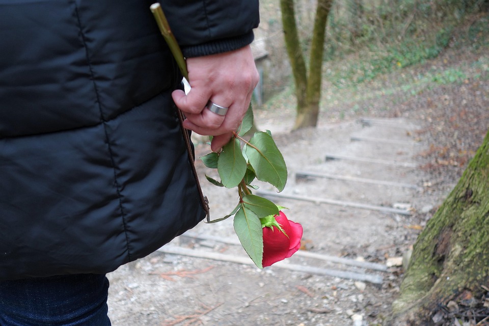 Girl With Red Rose Love Waiting - Free photo on Pixabay - Pixabay