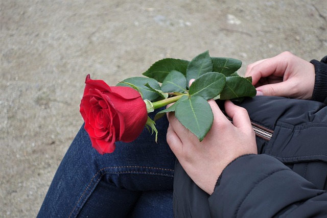 Girl With Red Rose Love Waiting - Free photo on Pixabay