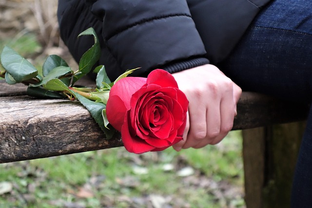 Girl With Red Rose Love Waiting - Free photo on Pixabay - Pixabay