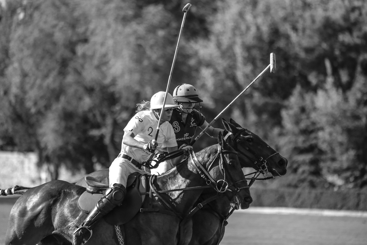 Cheval Les Chevaux Polo - Photo gratuite sur Pixabay - Pixabay