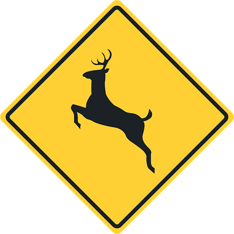 20+ kostenlose Wildwechsel und Straßenschild-Bilder