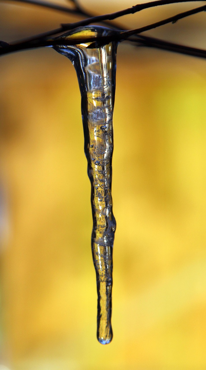 1,000+ Free Icicle & Winter Images - Pixabay