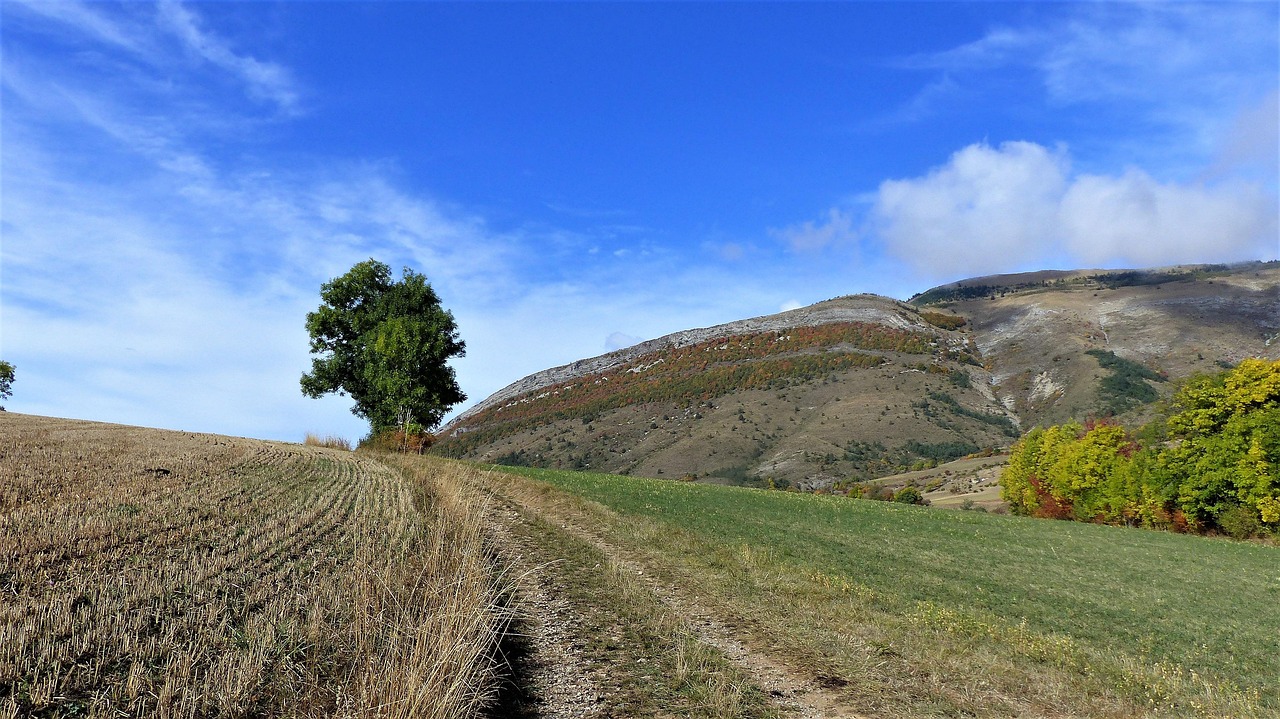 Landscape Fields Fall - Free photo on Pixabay