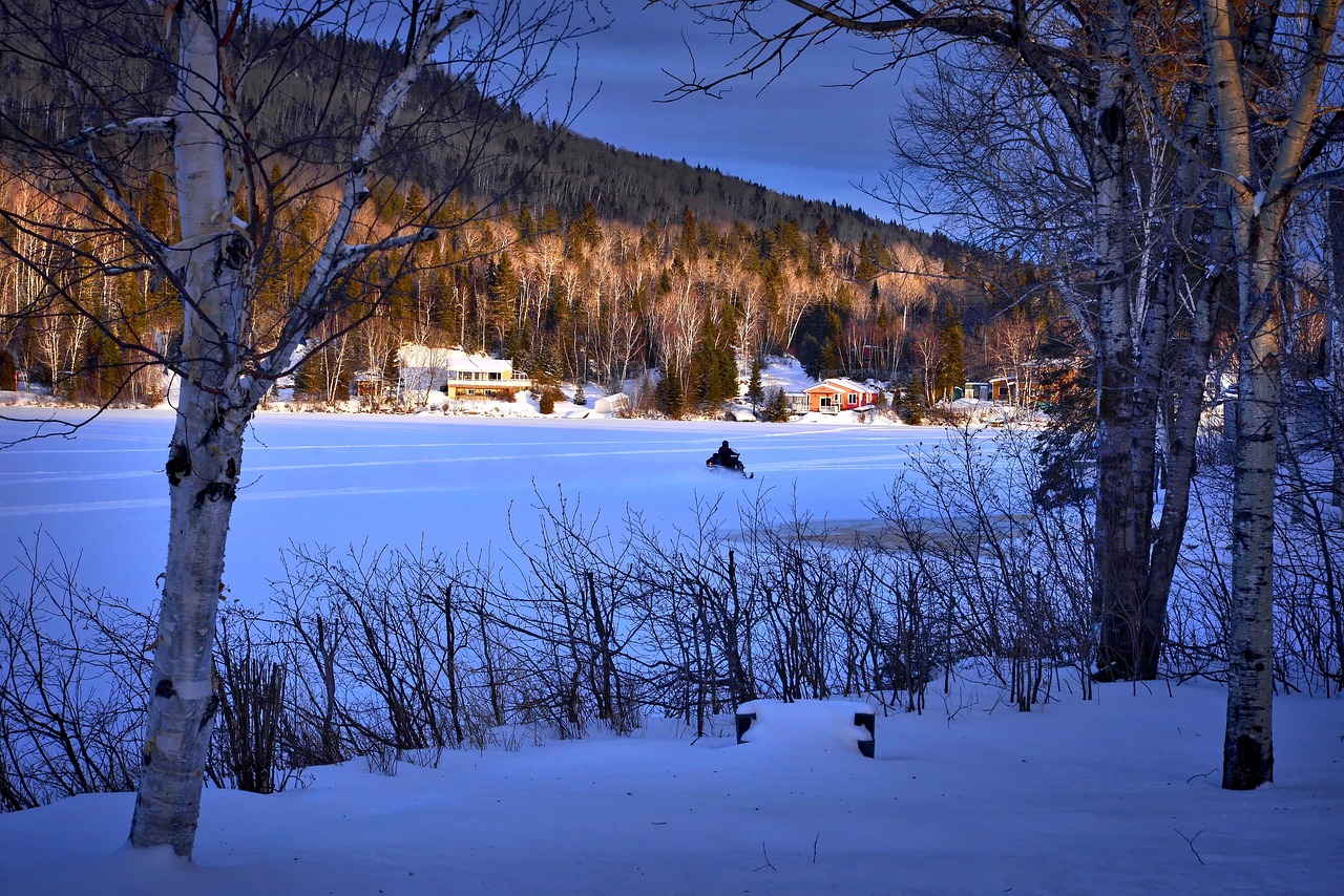 Paisagem De Inverno Natureza Neve - Foto gratuita no Pixabay
