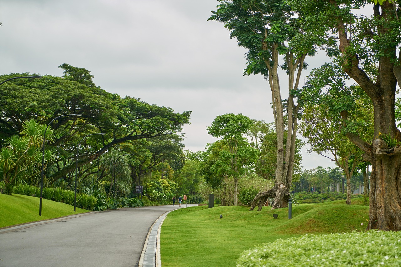 Path Green Grass - Free photo on Pixabay - Pixabay