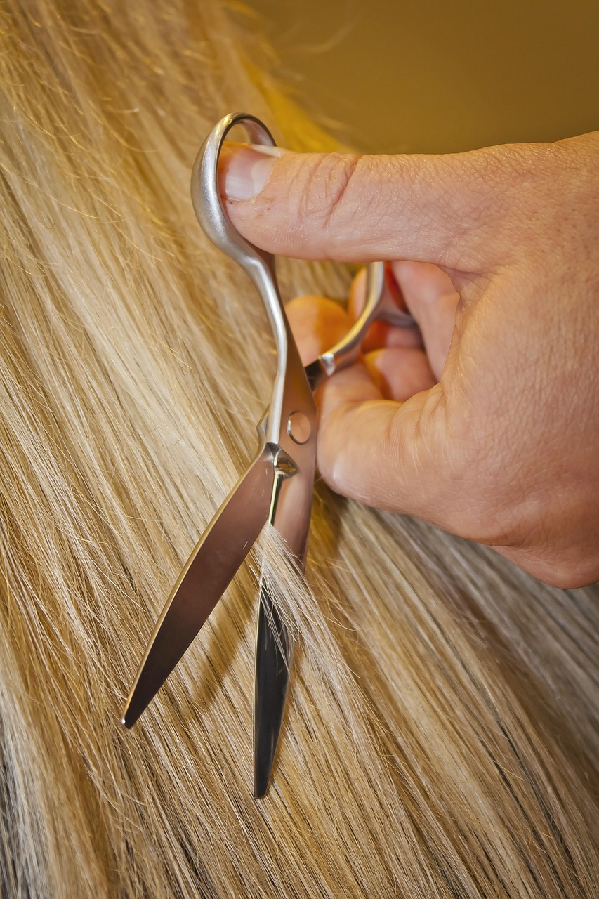 Hair Salon Scissors Style - Free photo on Pixabay