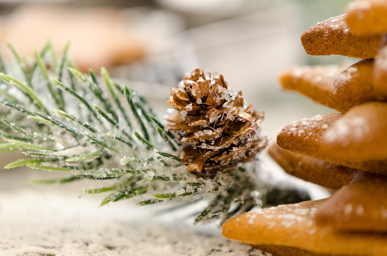 40+ ilmaista Pipari & Joulu kuvaa - Pixabay