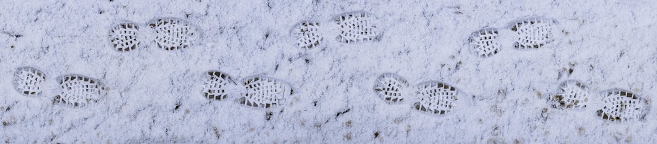 Snow Footprints Sense - Free photo on Pixabay