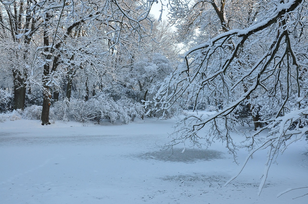 Inverno Panorama Gravação Da - Foto gratuita no Pixabay - Pixabay