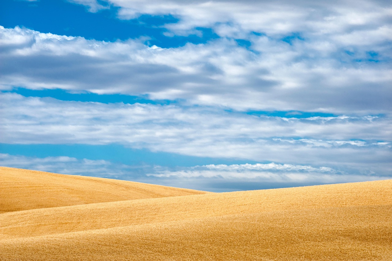 Panoramic Nature Sky - Free photo on Pixabay