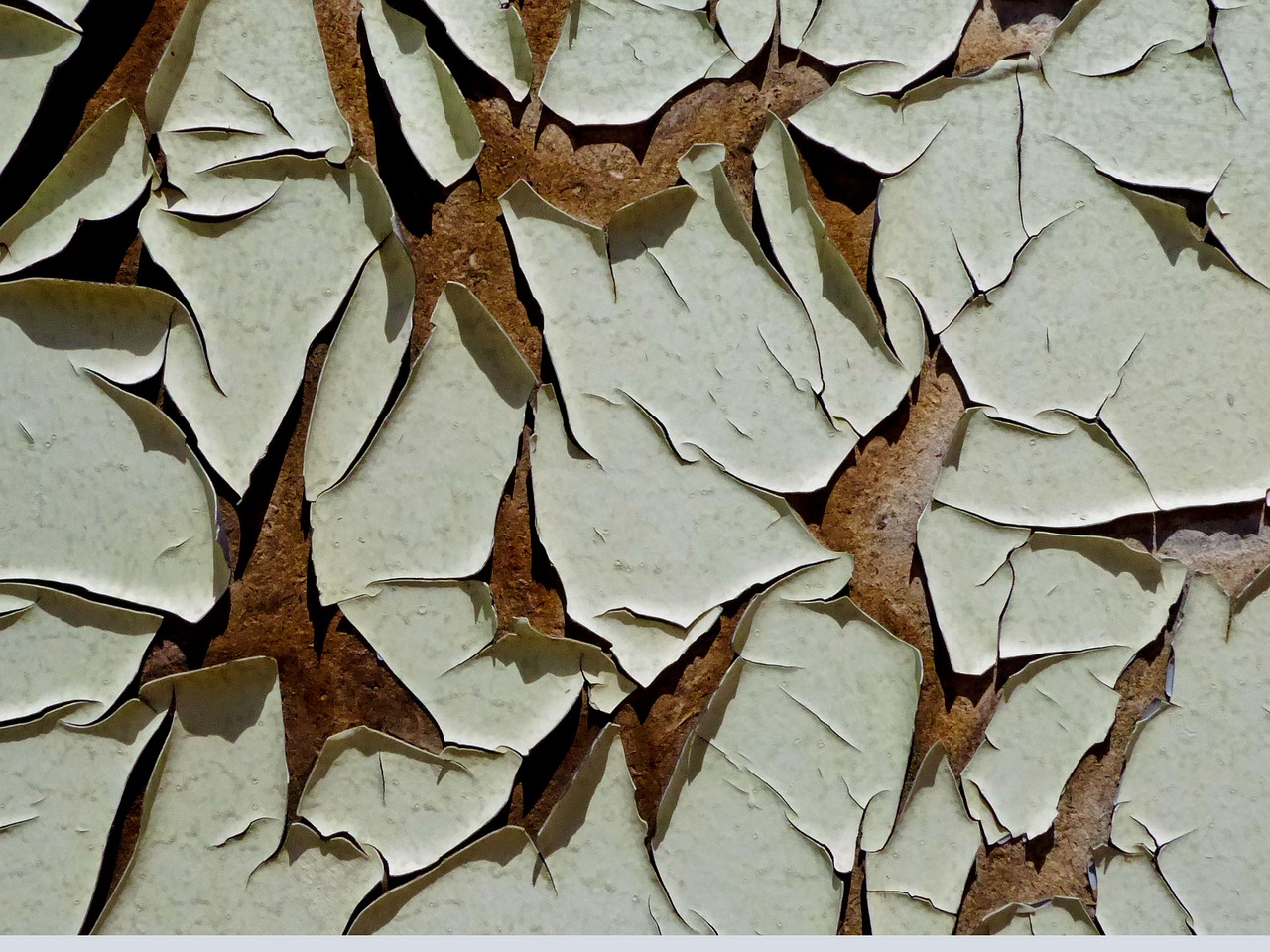 100+ Free Nature Wall Painting & Wall Images - Pixabay