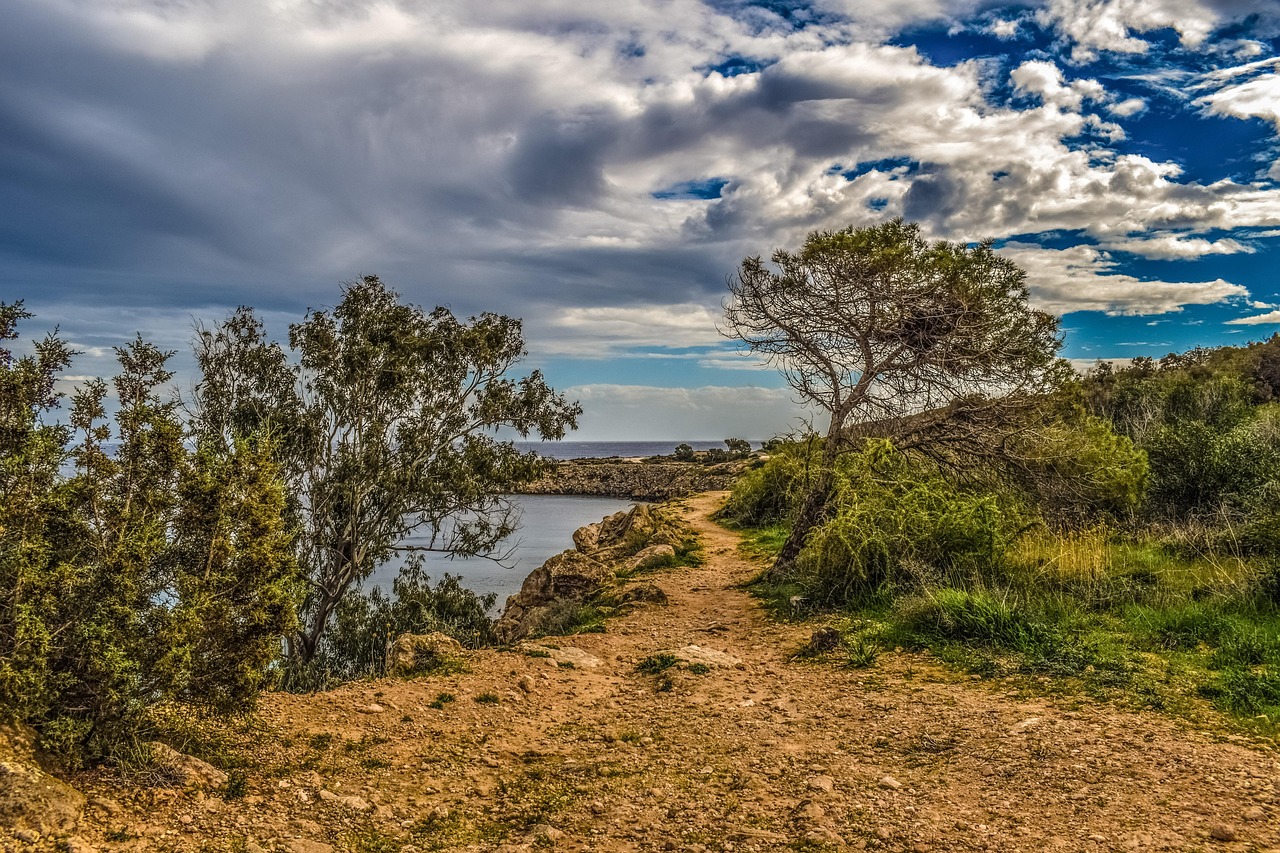 Path Nature Tree - Free photo on Pixabay - Pixabay