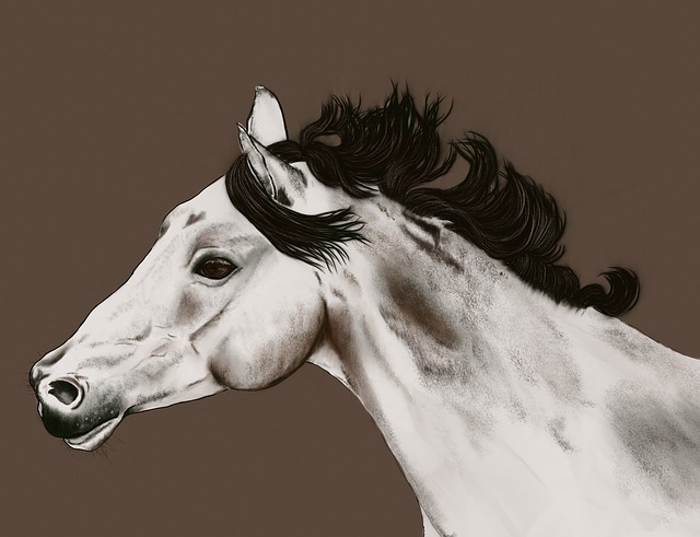 Download Horse, Portrait, Drawing. Royalty-Free Stock Illustration ...