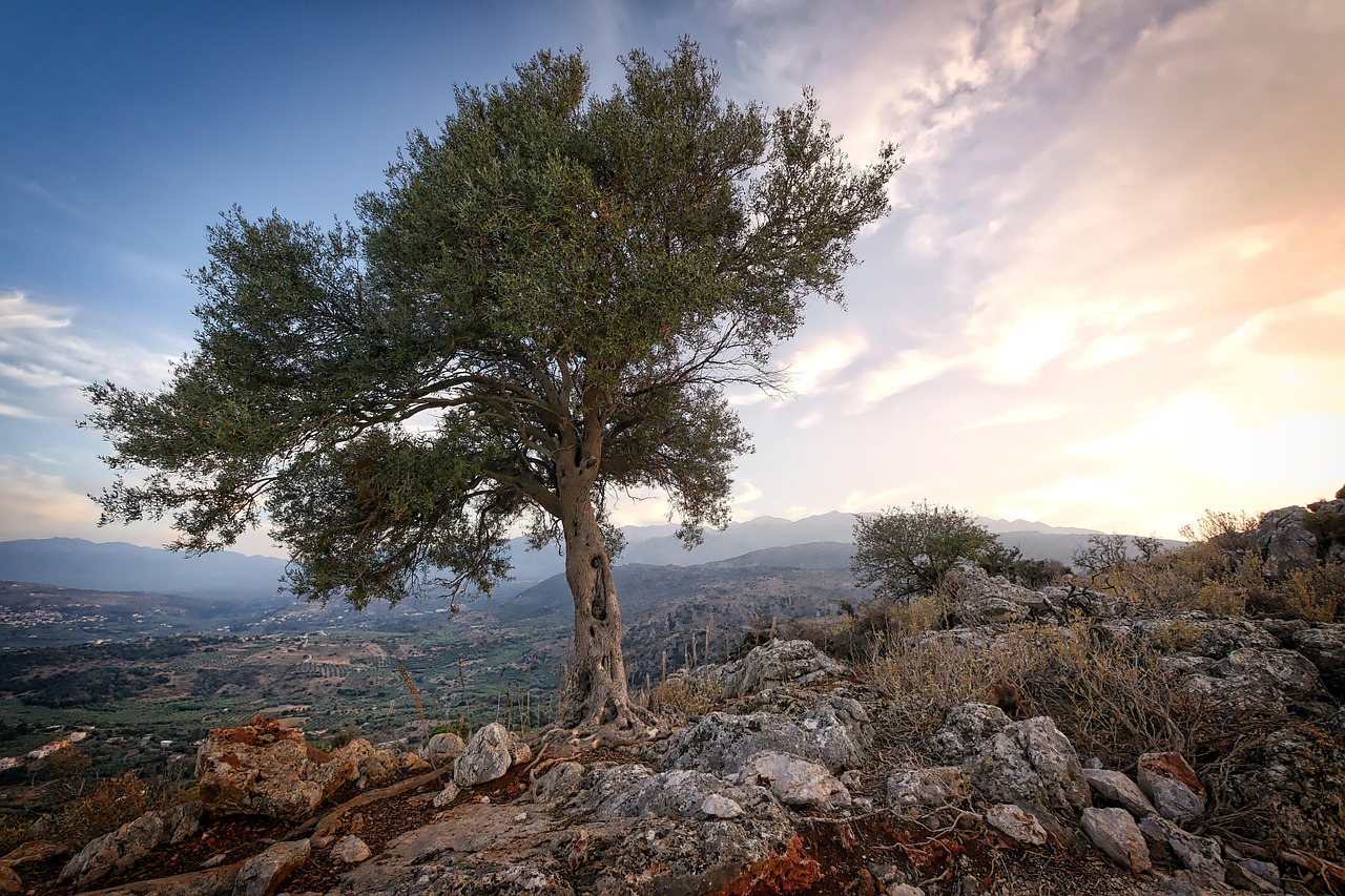 Nature Landscape Heaven - Free photo on Pixabay - Pixabay