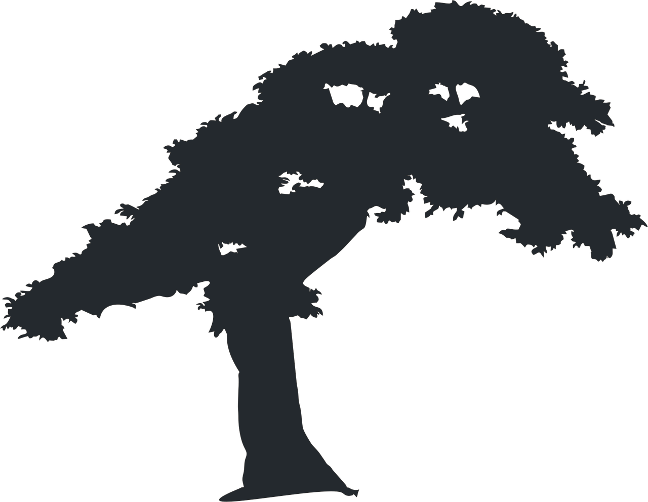 Niemand Afbeeldingen Natuur Gratis Vectorafbeelding Op Pixabay Pixabay Niemand Afbeeldingen Natuur Gratis Vectorafbeelding Op Pixabay Pixabay