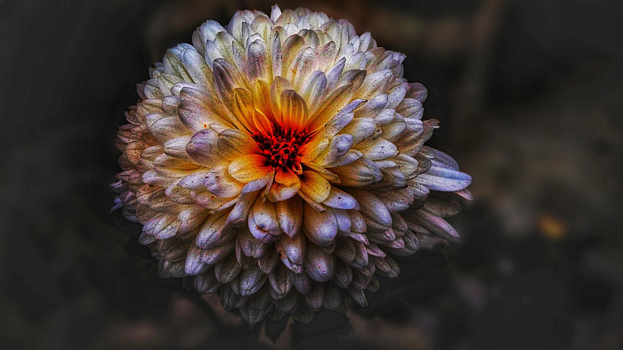 Nature Flore Fleur - Photo gratuite sur Pixabay - Pixabay