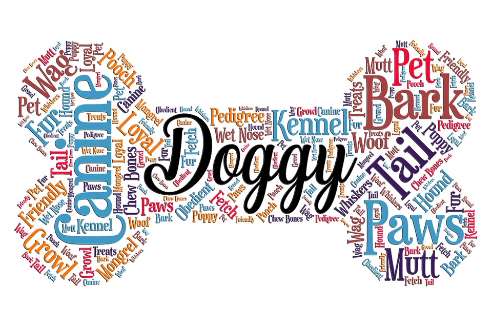 Wordart Dog Bone Free Image On Pixabay