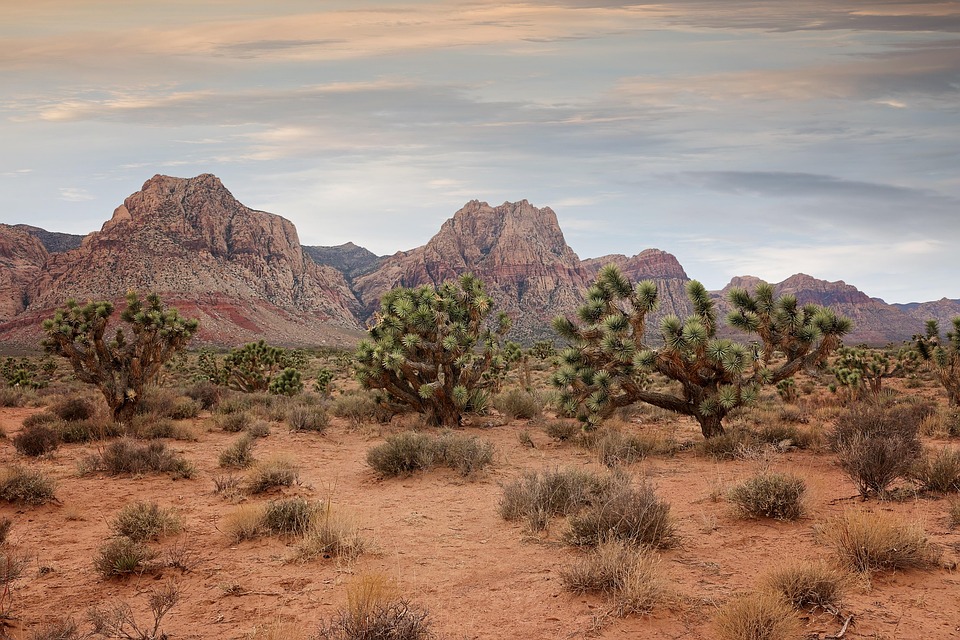 Bonnie Springs Ranch Rock Geology - Free photo on Pixabay